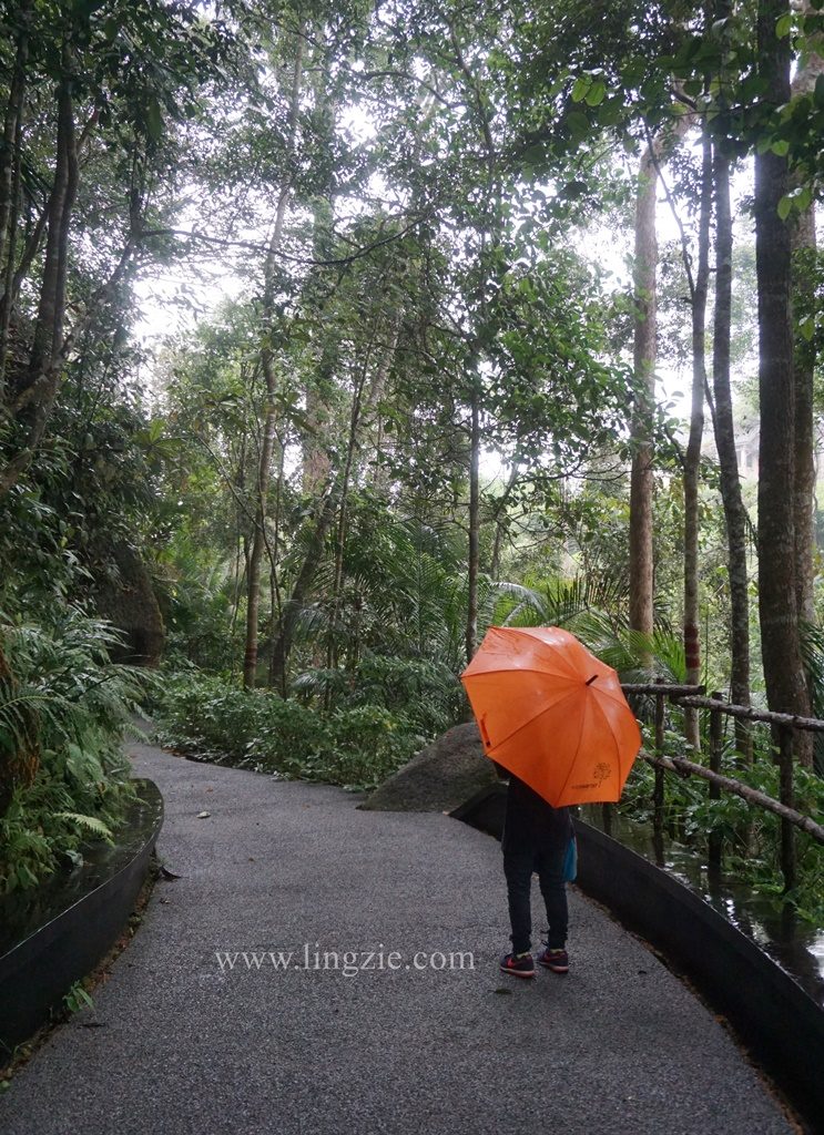 The Habitat Penang Hill – TreeTop Walk & Ecotourism Attraction ...
